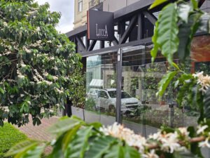 Lucca Cafés Especiais: O Maior Garimpo de Café do Brasil